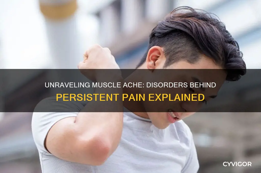 Unraveling Muscle Ache: Disorders Behind Persistent Pain Explained ...