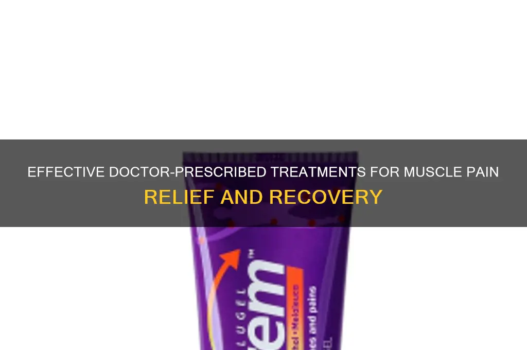 Effective Doctor-Prescribed Treatments For Muscle Pain Relief And ...