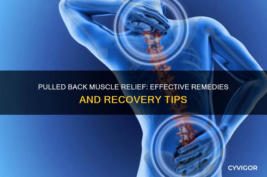 Pulled Back Muscle Relief: Effective Remedies And Recovery Tips | CyVigor