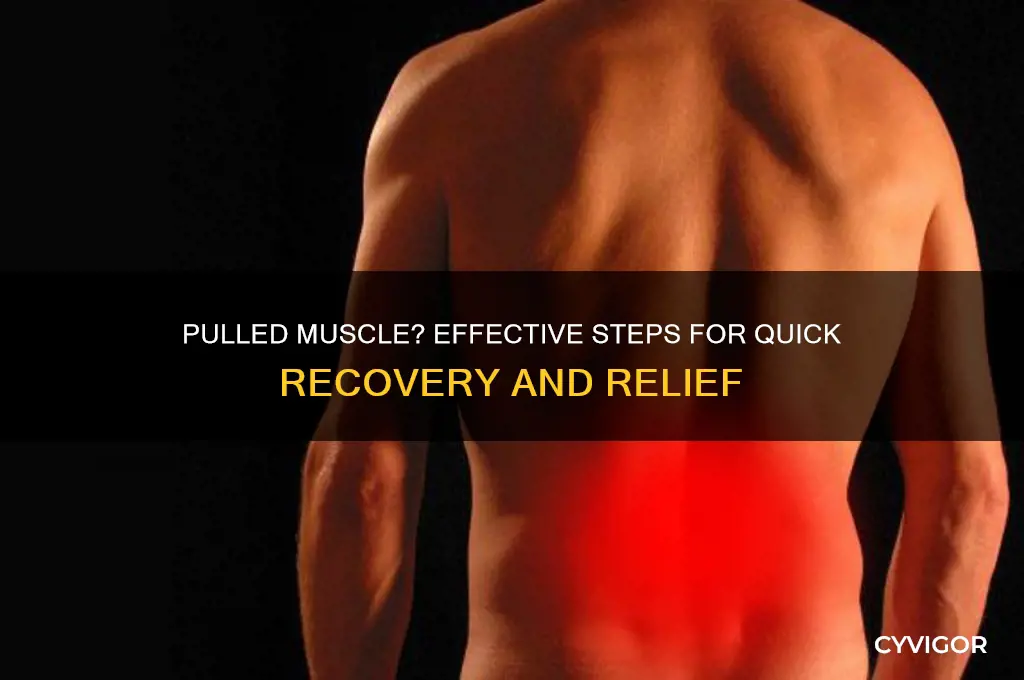 Pulled Muscle? Effective Steps For Quick Recovery And Relief | CyVigor