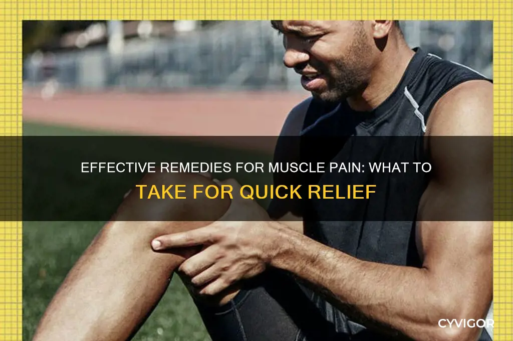 Effective Remedies For Muscle Pain: What To Take For Quick Relief | CyVigor