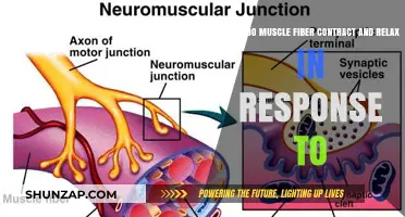 Unveiling The Common Colors Of Muscle Relaxer Pills: A Guide | CyVigor
