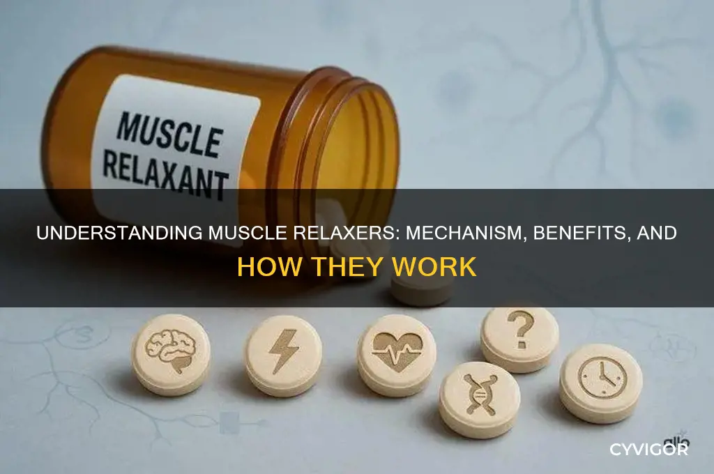 Understanding Muscle Relaxers: Mechanism, Benefits, And How They Work ...