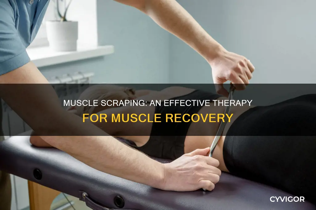 Muscle Scraping: An Effective Therapy For Muscle Recovery | CyVigor