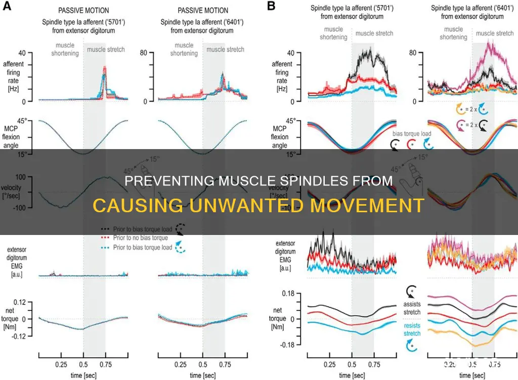Preventing Muscle Spindles From Causing Unwanted Movement | CyVigor
