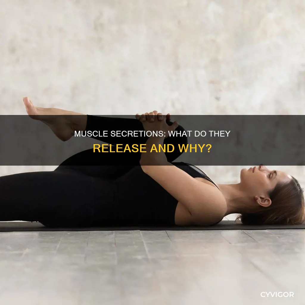 Muscle Secretions: What Do They Release And Why? | CyVigor