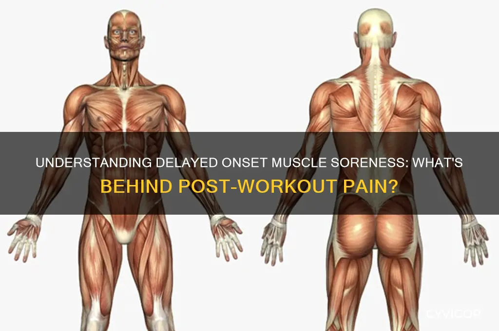 Understanding Delayed Onset Muscle Soreness What s Behind Post Workout