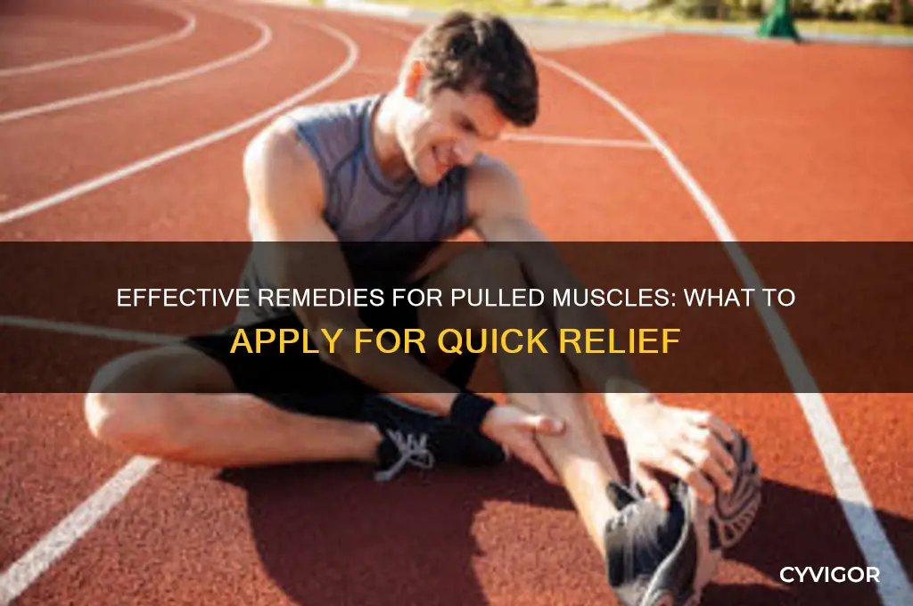 Effective Remedies For Pulled Muscles What To Apply For Quick Relief
