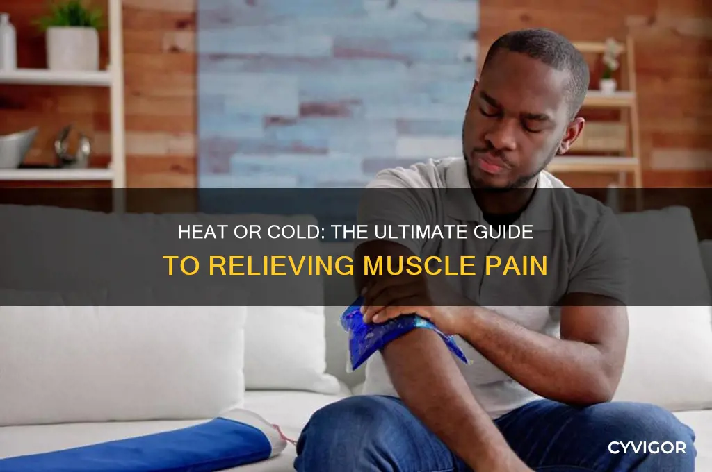 Heat Or Cold: The Ultimate Guide To Relieving Muscle Pain | CyVigor