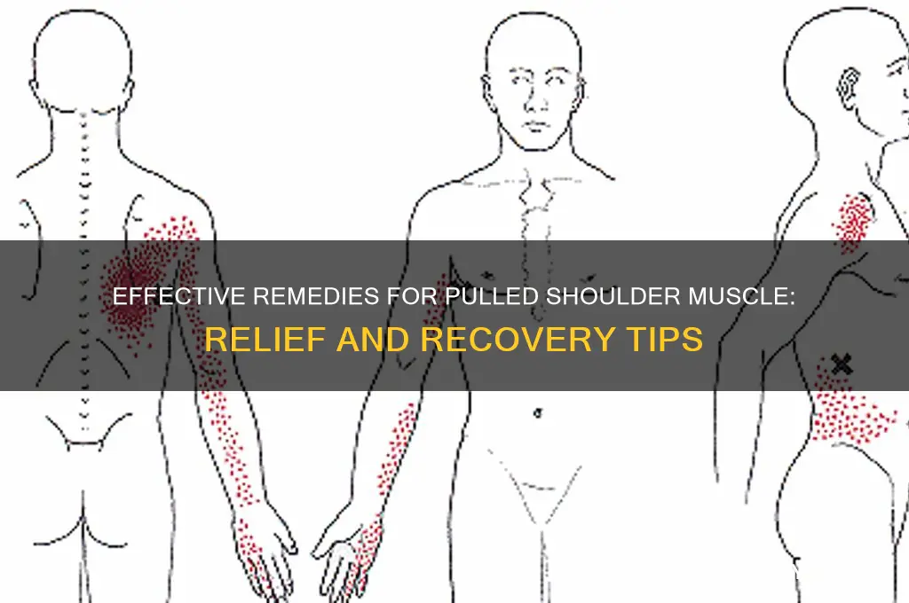 Effective Remedies For Pulled Shoulder Muscle: Relief And Recovery Tips ...