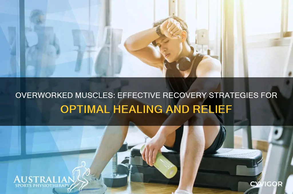 Overworked Muscles: Effective Recovery Strategies For Optimal Healing ...