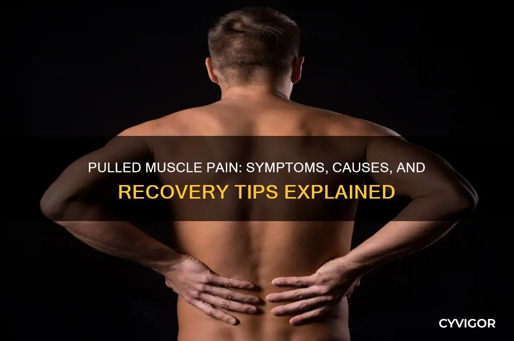 Pulled Muscle Pain: Symptoms, Causes, And Recovery Tips Explained | CyVigor