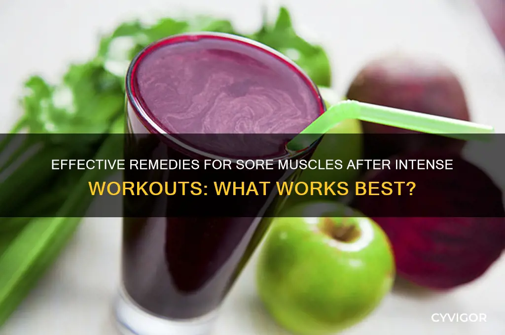 Effective Remedies For Sore Muscles After Intense Workouts: What Works ...
