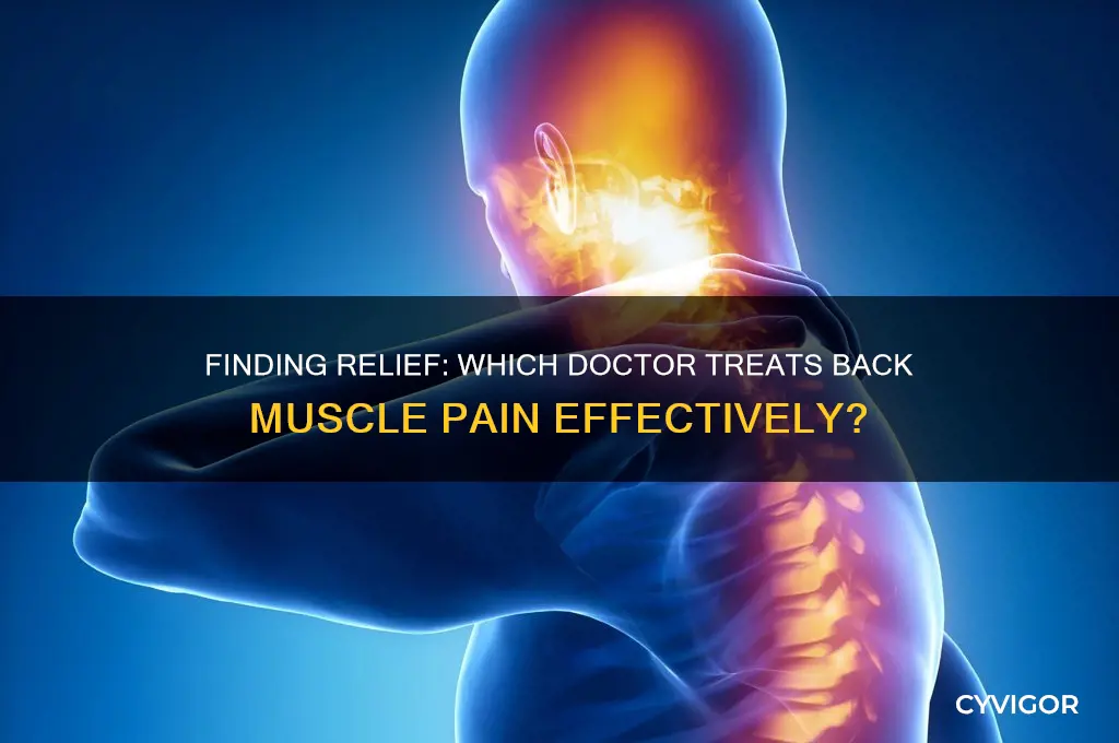 Finding Relief: Which Doctor Treats Back Muscle Pain Effectively? | CyVigor