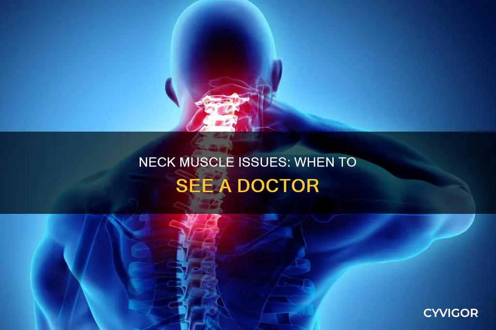 Neck Muscle Issues: When To See A Doctor | CyVigor