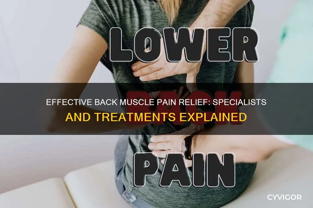 Effective Back Muscle Pain Relief: Specialists And Treatments Explained ...