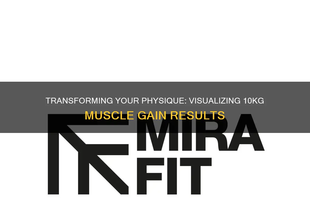 Transforming Your Physique: Visualizing 10Kg Muscle Gain Results | CyVigor