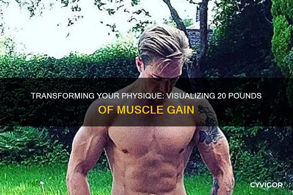 Transforming Your Physique: Visualizing 20 Pounds Of Muscle Gain | CyVigor