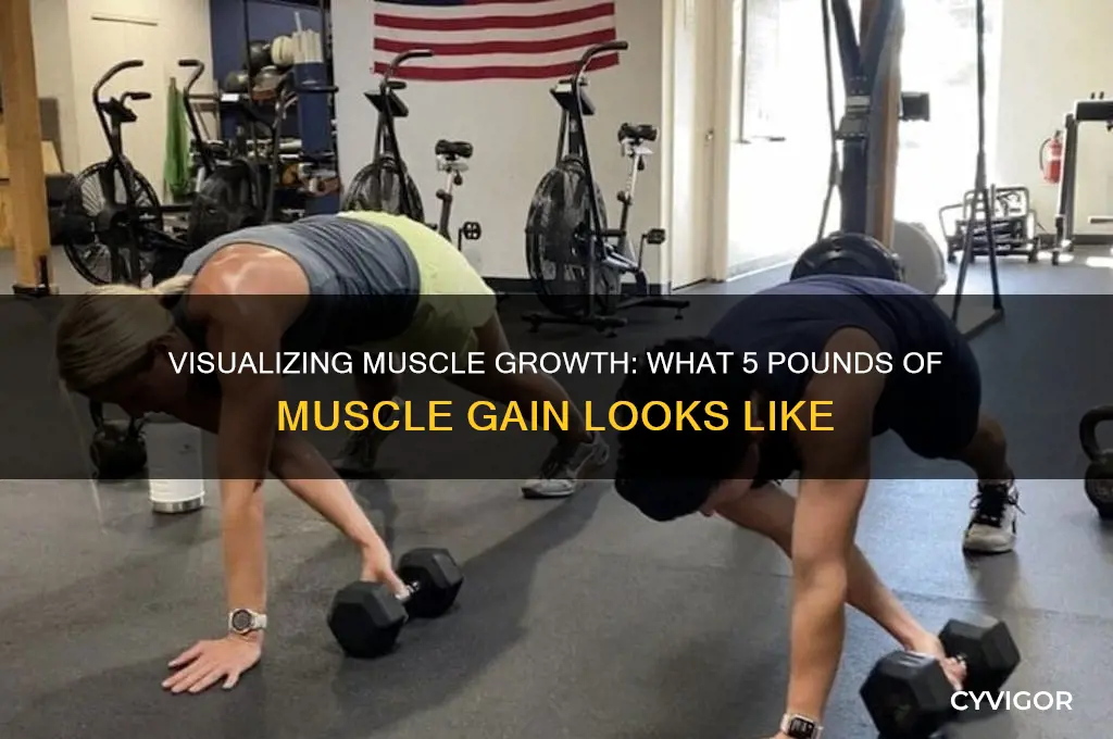 Visualizing Muscle Growth: What 5 Pounds Of Muscle Gain Looks Like ...