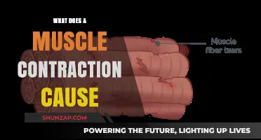 Understanding Muscle Inflammation: Diseases That Trigger Pain And ...