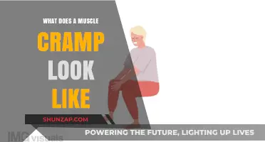 Understanding Cramps: Causes, Symptoms, And Effective Relief Methods ...