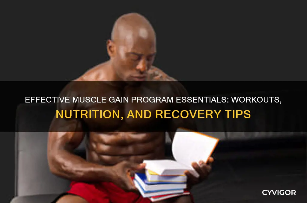 Effective Muscle Gain Program Essentials: Workouts, Nutrition, And ...