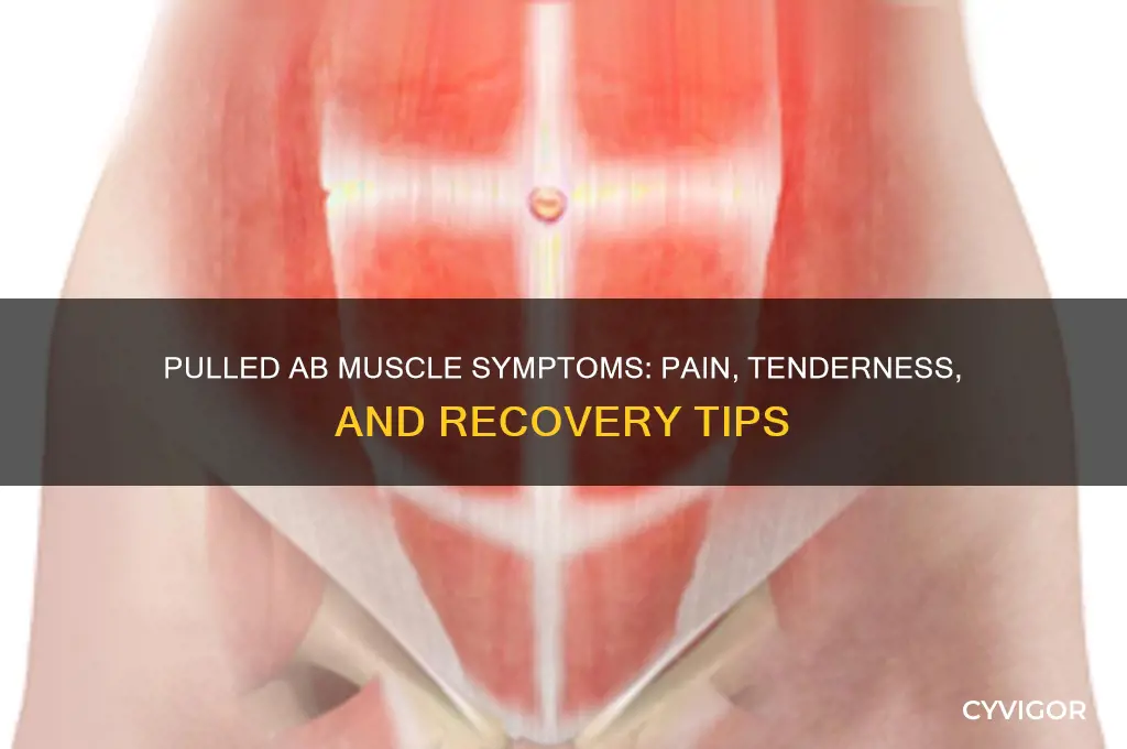 Pulled Ab Muscle Symptoms: Pain, Tenderness, And Recovery Tips | CyVigor