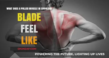 Understanding Pulled Rib Muscle Symptoms, Causes, And Recovery Tips ...