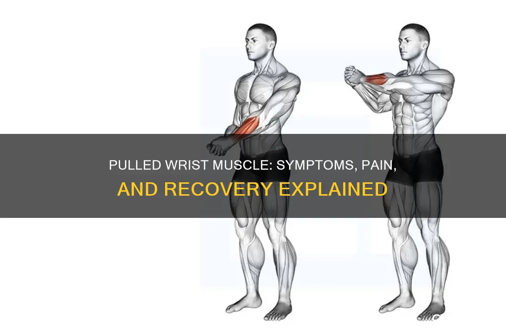 Pulled Wrist Muscle: Symptoms, Pain, And Recovery Explained | CyVigor