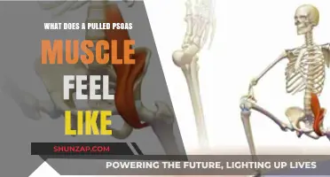 Pulled Shin Muscle: Symptoms, Pain, And Recovery Explained | CyVigor