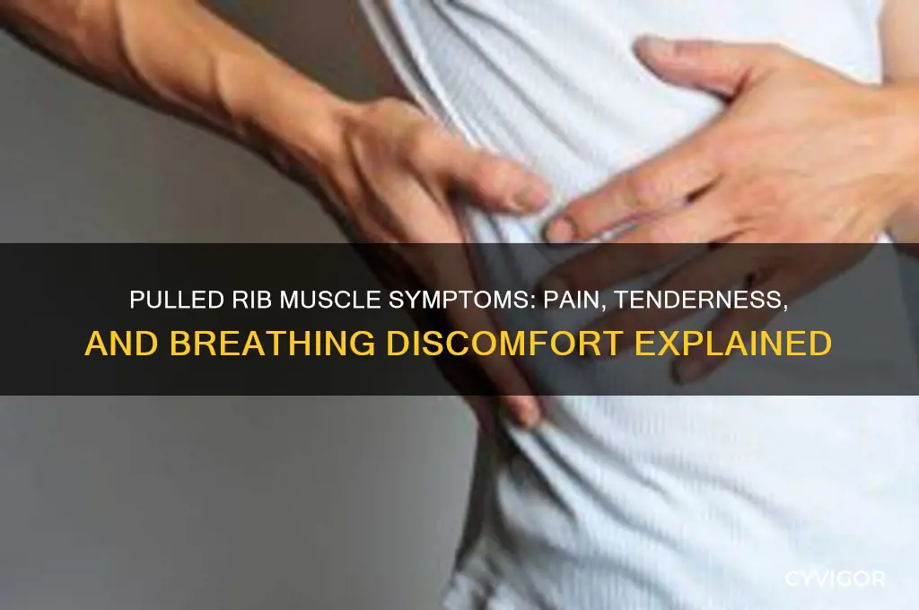 Pulled Rib Muscle Symptoms: Pain, Tenderness, And Breathing Discomfort ...