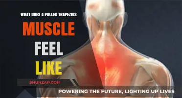 Pulled Trap Muscle Symptoms: Pain, Stiffness, And Limited Mobility ...