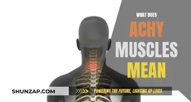 How Acetylcholinesterase Affects Muscle Movement And Performance | CyVigor