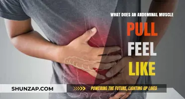 Torn Vs. Pulled Muscle: Symptoms, Pain, And Recovery Explained | CyVigor