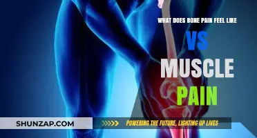 Understanding Burning Muscle Pain: Causes, Symptoms, And Effective ...
