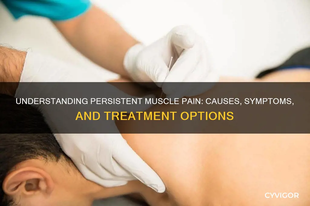 Understanding Persistent Muscle Pain: Causes, Symptoms, And Treatment ...
