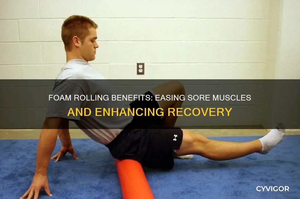 Foam Rolling Benefits: Easing Sore Muscles And Enhancing Recovery | CyVigor