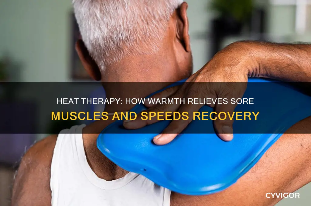 Heat Therapy: How Warmth Relieves Sore Muscles And Speeds Recovery ...