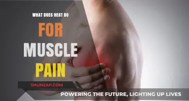 Understanding Burning Muscle Pain: Causes, Symptoms, And Effective ...