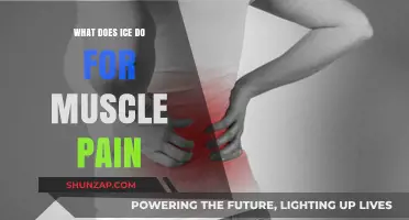 Understanding Herpes-Related Muscle Pain: Symptoms, Causes, And Relief ...