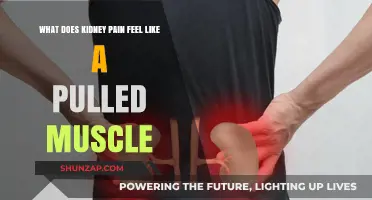 Why Your Muscles Keep Pulling: Causes, Prevention, And Relief Tips ...