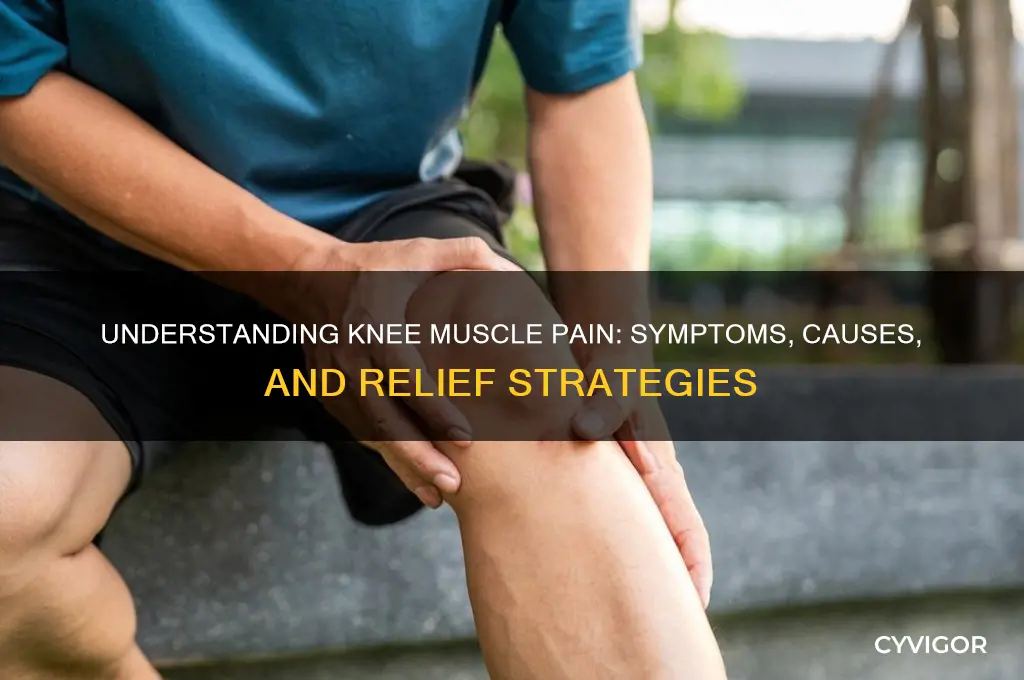 Understanding Knee Muscle Pain: Symptoms, Causes, And Relief Strategies ...