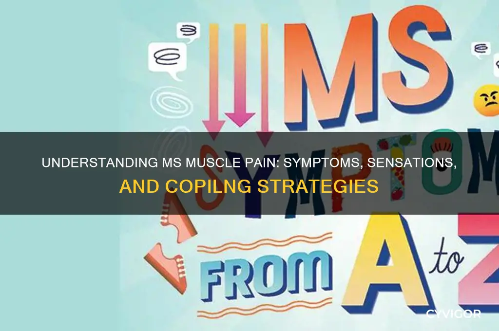 Understanding Ms Muscle Pain: Symptoms, Sensations, And Copilng ...
