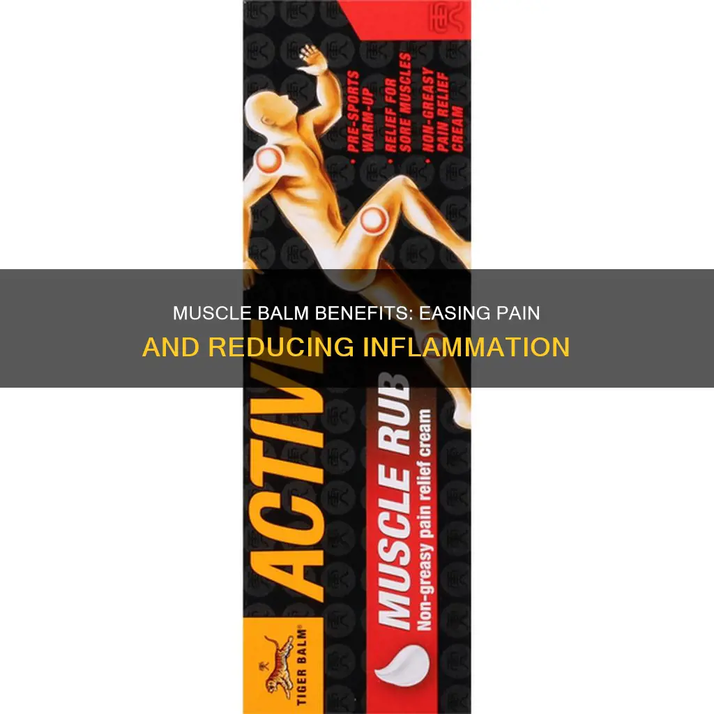 Muscle Balm Benefits: Easing Pain And Reducing Inflammation | CyVigor