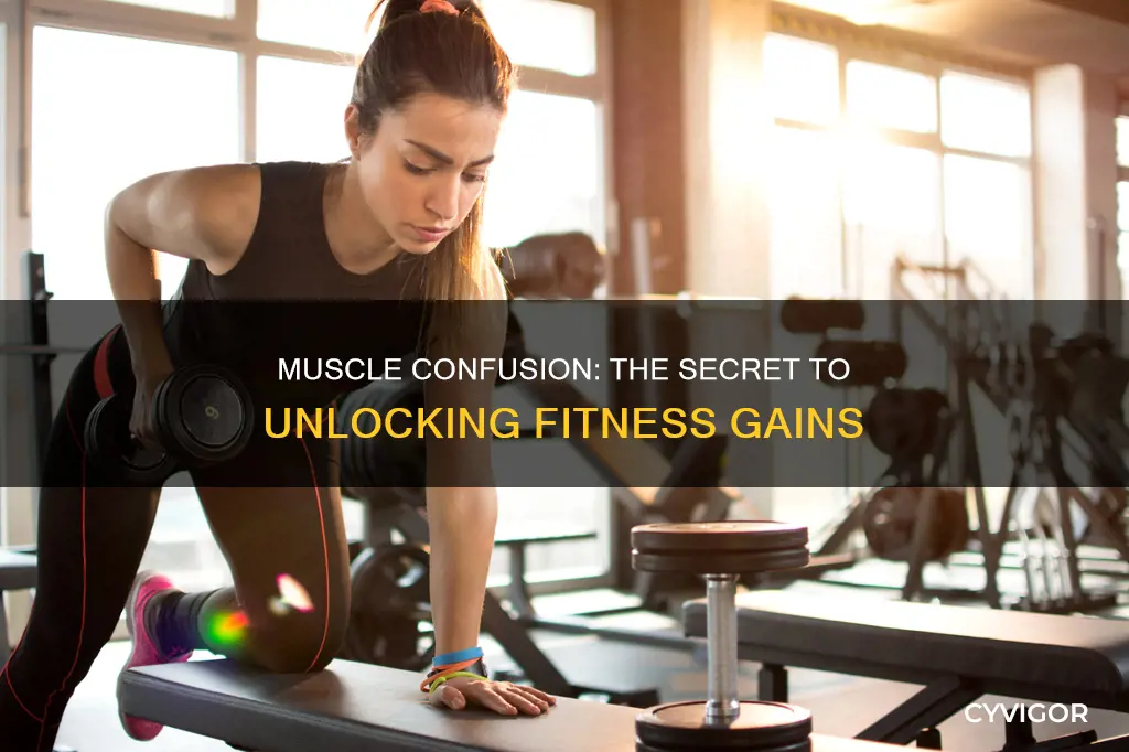 Muscle Confusion: The Secret To Unlocking Fitness Gains | CyVigor