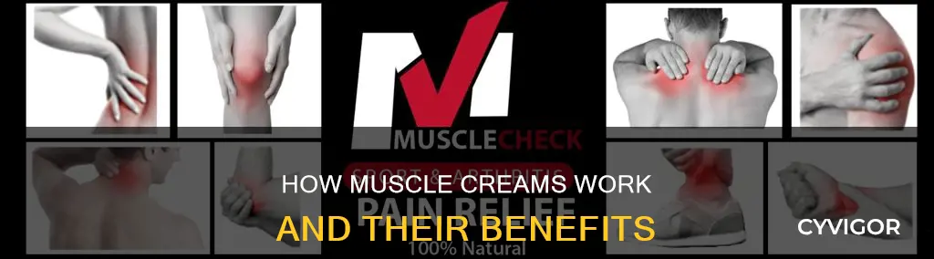 How Muscle Creams Work And Their Benefits | CyVigor