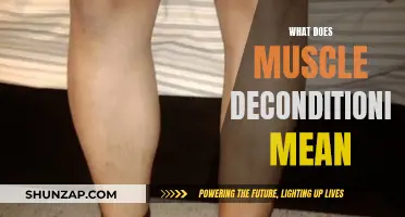 Understanding Muscle Breakdown: What Does It Mean? | CyVigor