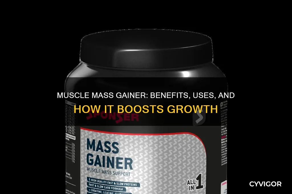 Muscle Mass Gainer: Benefits, Uses, And How It Boosts Growth | CyVigor