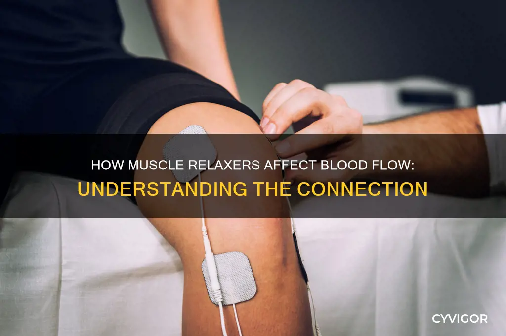 How Muscle Relaxers Affect Blood Flow: Understanding The Connection ...
