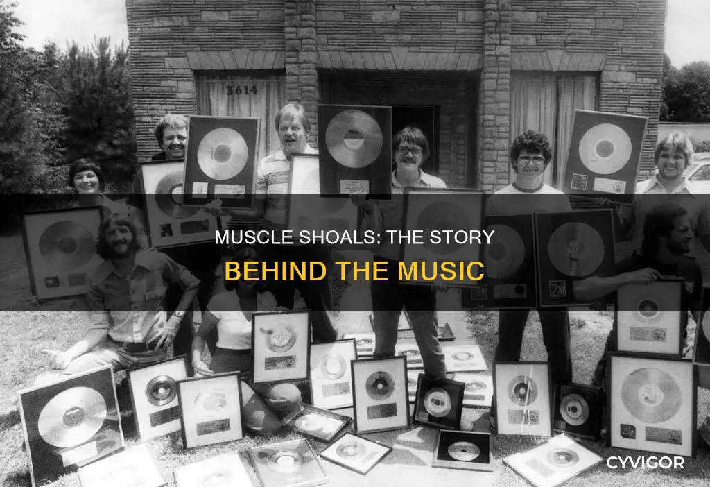 Muscle Shoals: The Story Behind The Music | CyVigor